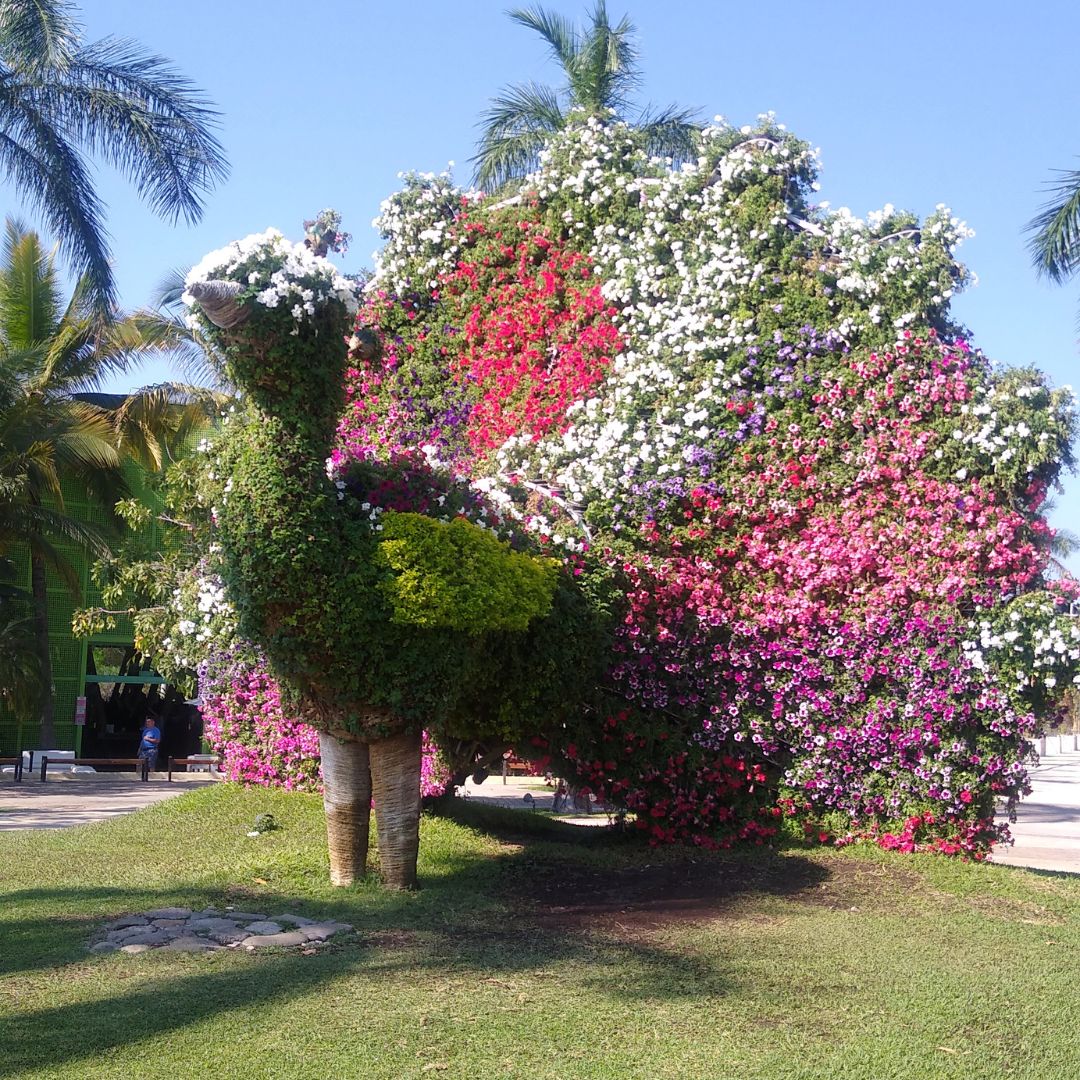 JARDÍNES DE MÉXICO Y TEQUESQUITENGO – Feliz Viaje Oaxaca